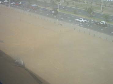 A R T T H R O B _ R E V I E W S _ C A P E